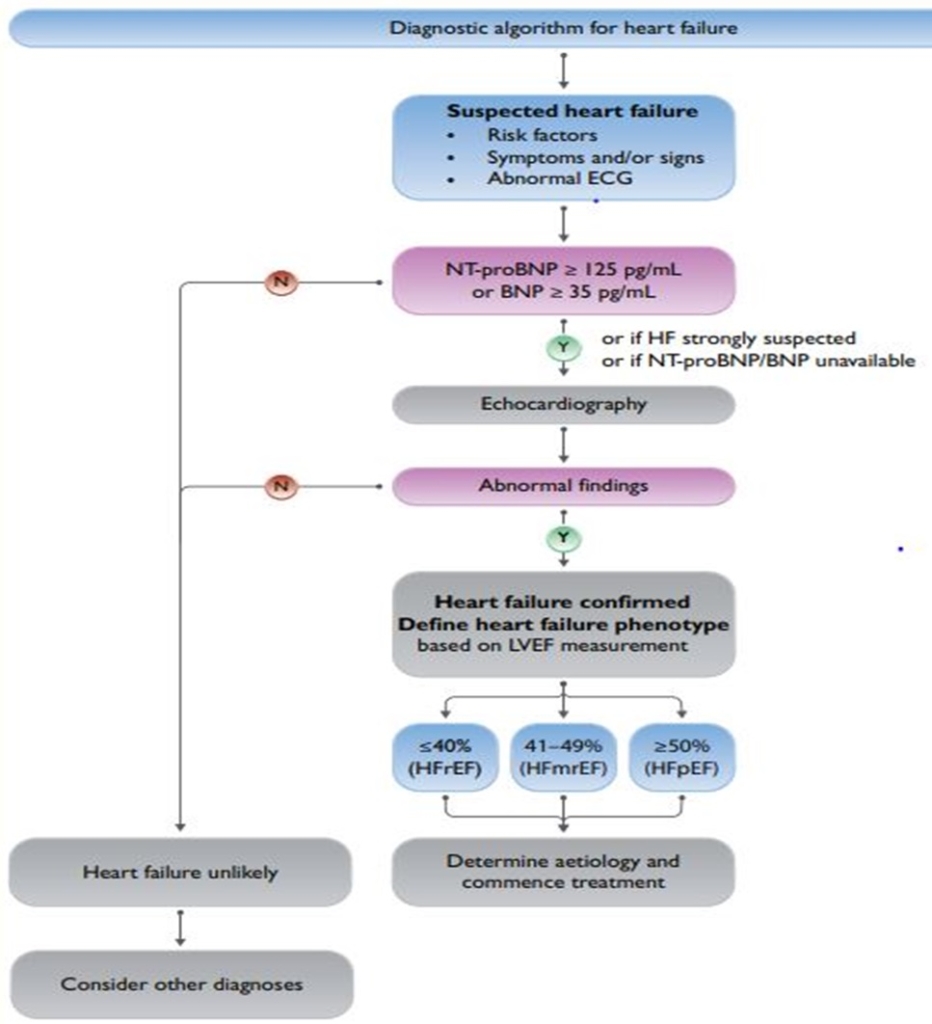Heart failure: Clinical manifestations, Etiology, Risk factors ...