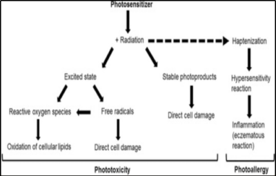 Drug-Induced Photosensitivity: Photoallergic, Phototoxic and Adverse ...