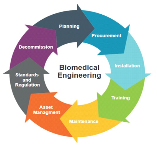 Role of Biomedical Engineering Department and Medical Gas plant during ...